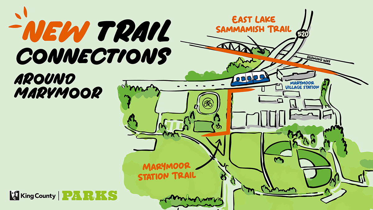 King County Parks opens two new trails that connect Sound Transit’s ...