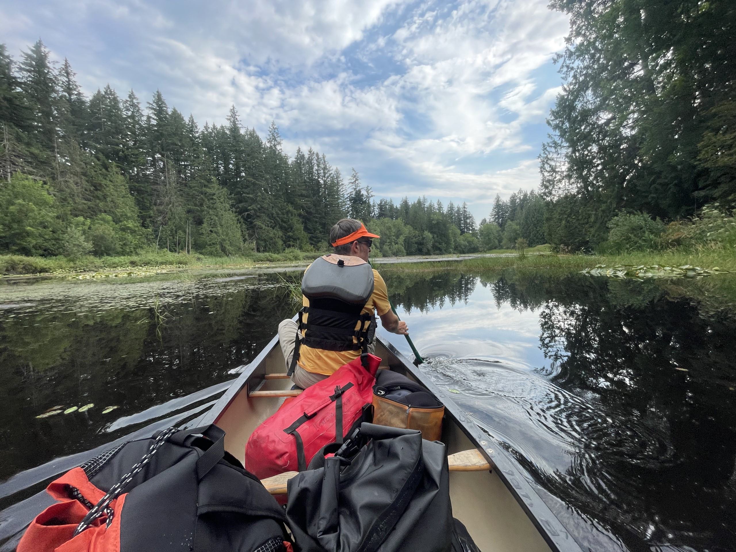 Lake services and information - King County, Washington