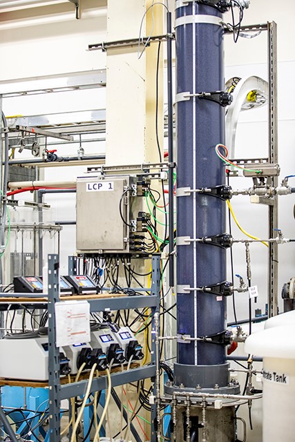 Bioaugmentation of Activated Sludge with Nitrifying Granules - King ...