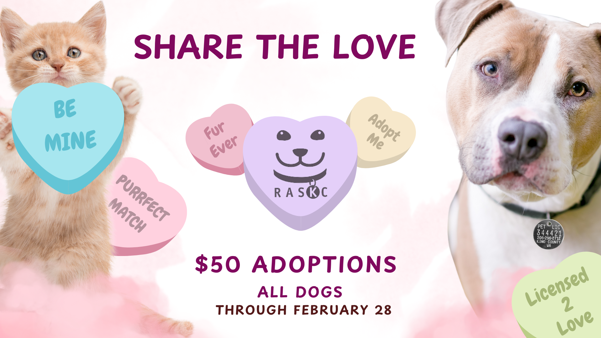 Regional Animal Services of King County (RASKC) - King County, Washington