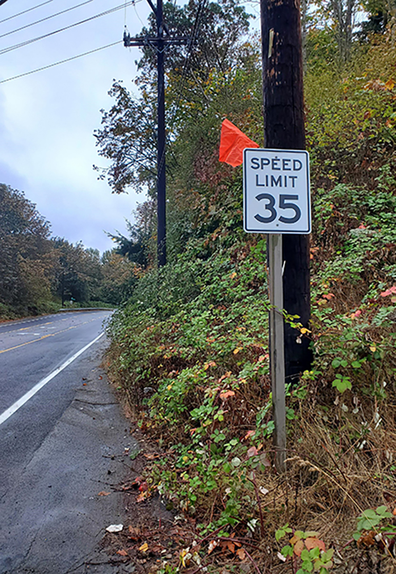 Speed Limit Assessment Projects - King County, Washington