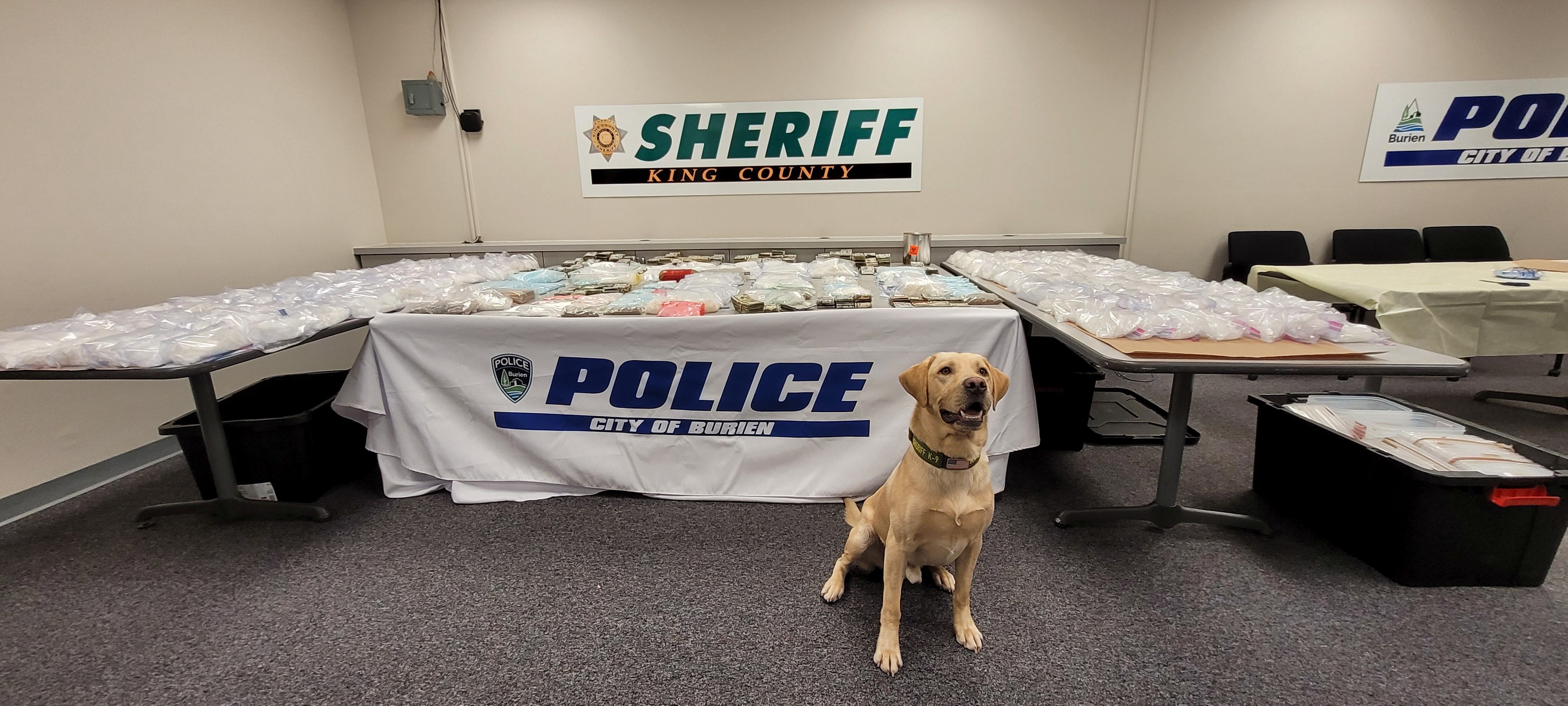 K-9 units - King County, Washington