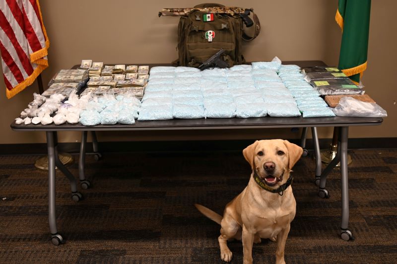 K-9 units - King County, Washington