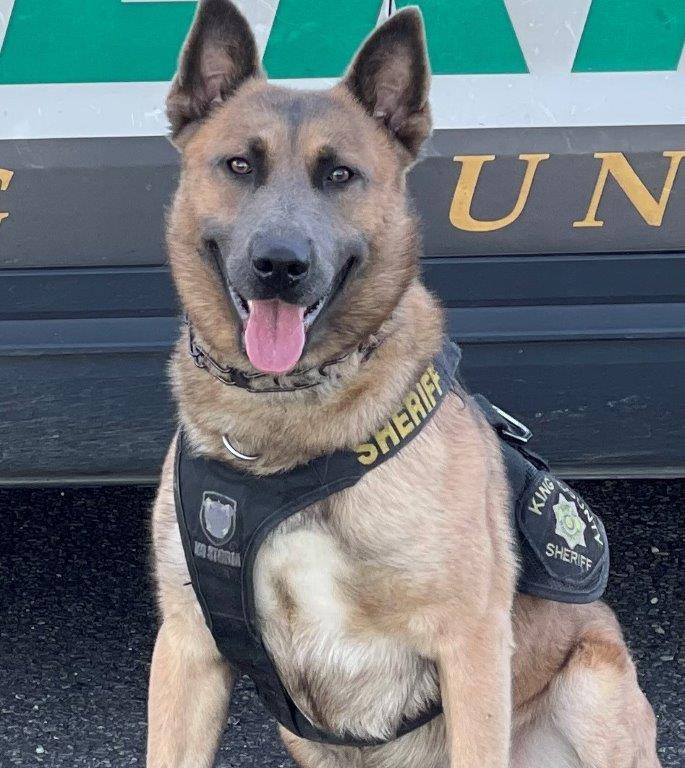 K-9 units - King County, Washington