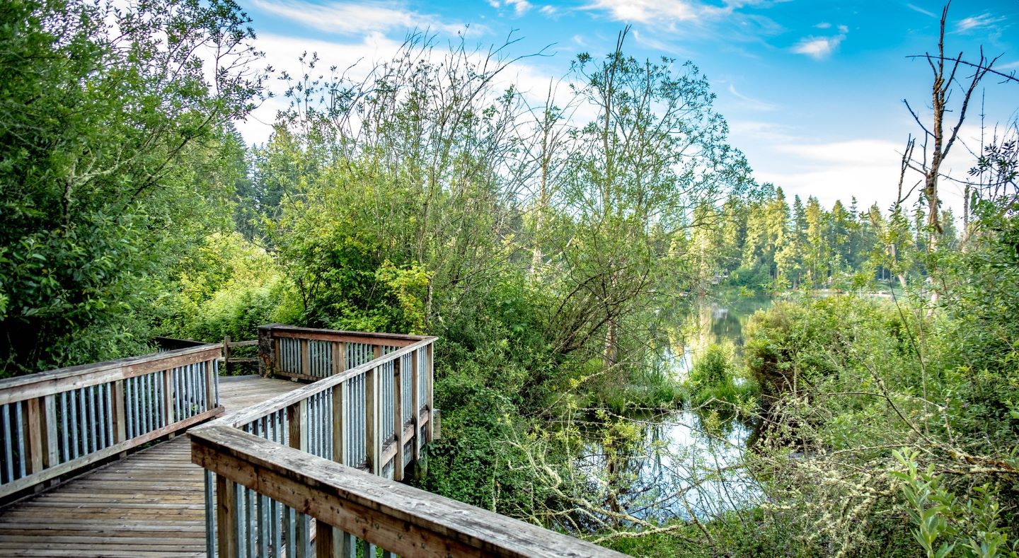 Home - King County, Washington