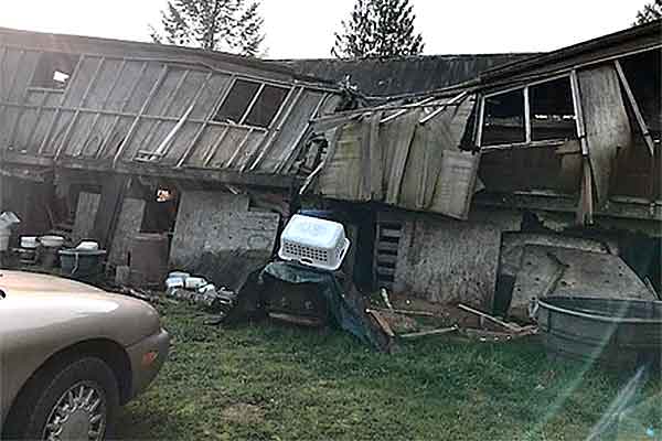 Growing Case Backlog Requires Re-prioritization of Code Enforcement ...